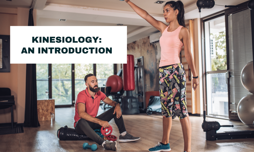 The Kinesiologist’s role | Cappino Physio